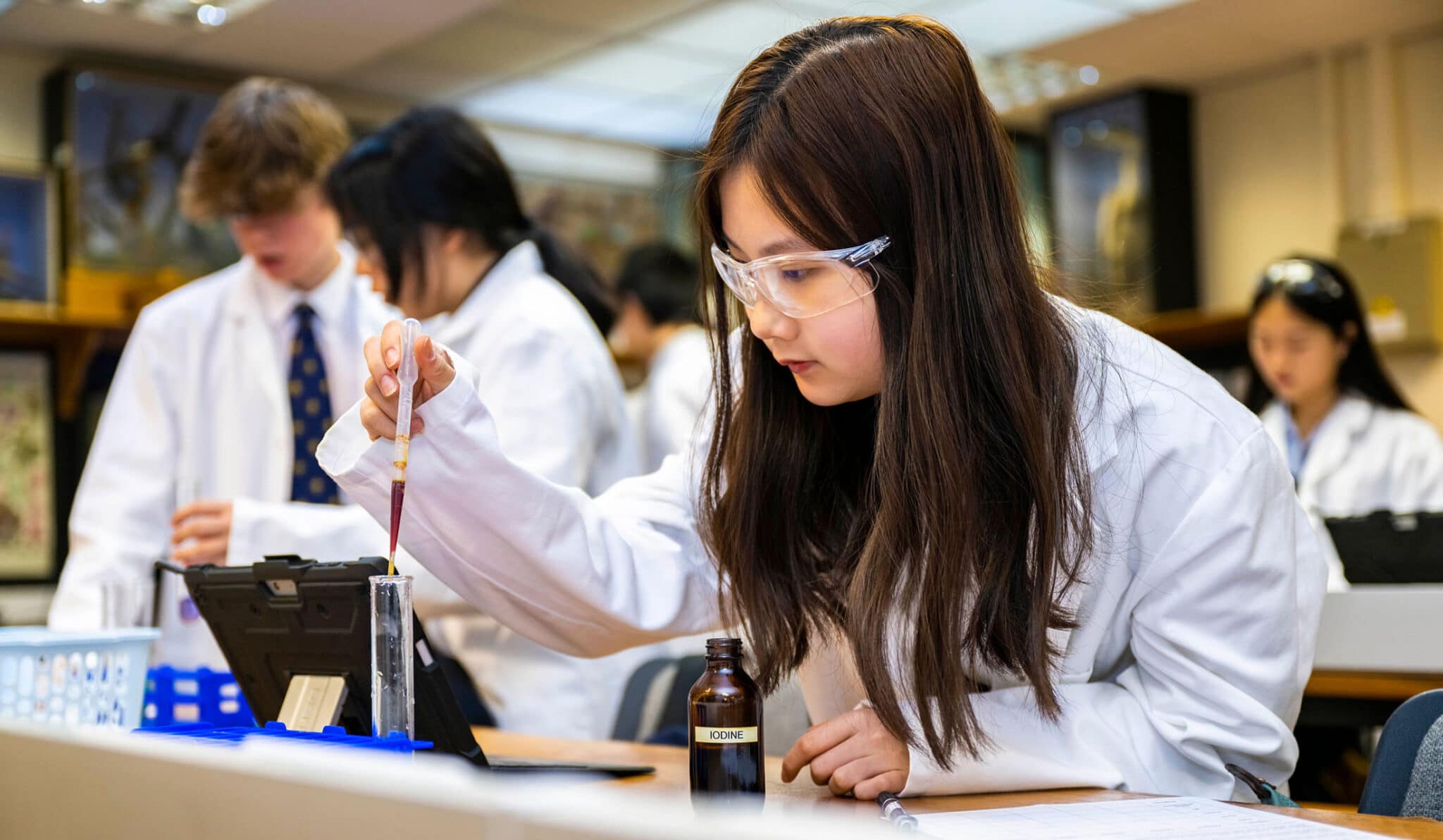 Darwin Bioscience – Shrewsbury Summer Schools